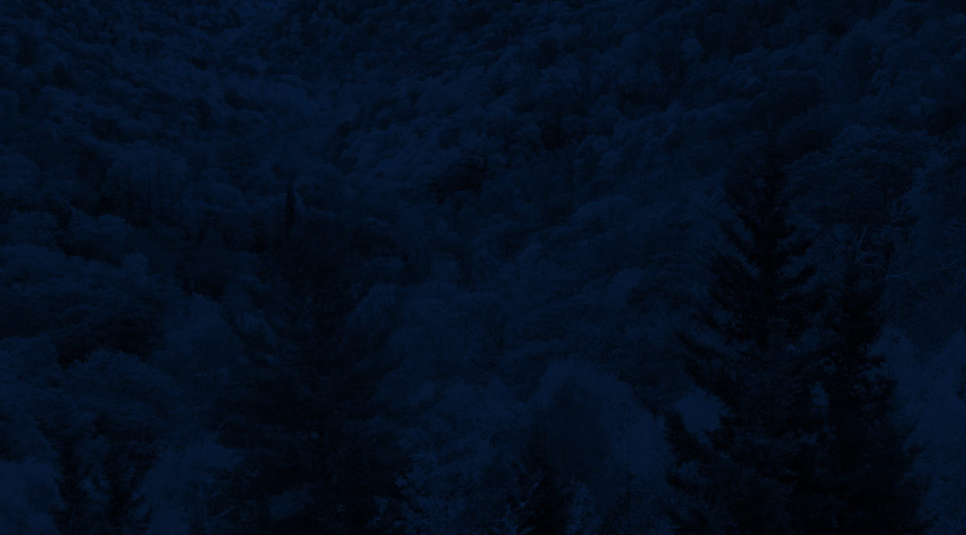 WEMT | Wilderness Emergency Medical Technician | NOC