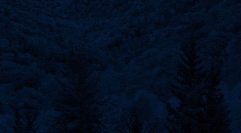 Basic Wilderness Navigation Techniques