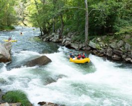 White Water Rafting North Carolina | Nantahala Outdoor Center