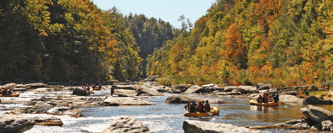 Chattooga River Rafting - SC & GA Whitewater | NOC