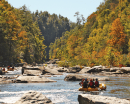 Chattooga River Rafting - SC & GA Whitewater | NOC
