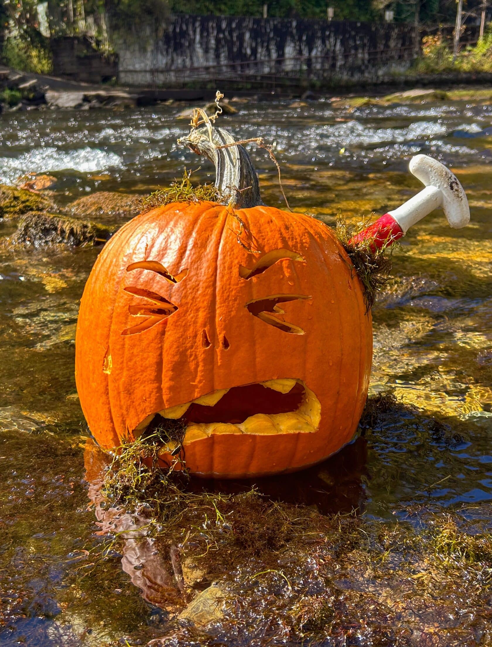 Great Pumpkin Showdown - Nantahala Outdoor Center