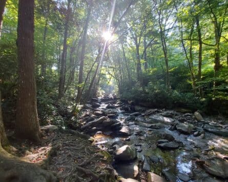 Gatlinburg White Water Rafting & Pigeon Forge, TN | NOC
