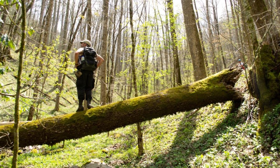 Wilderness Survival Tips for Families: Keeping Everyone Safe and ...
